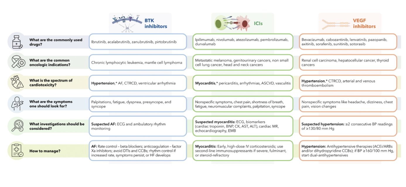 American College of Cardiology highlights the cardiovascular risks of ...