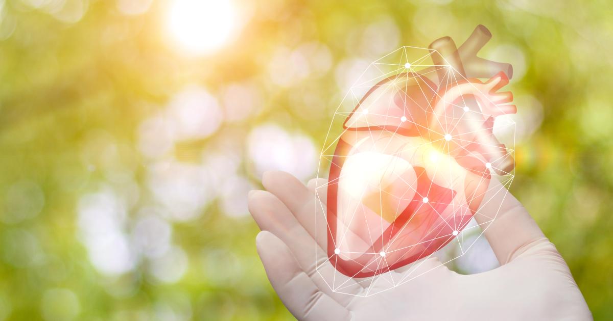 Transcatheter HF device receives breakthrough designation from FDA
