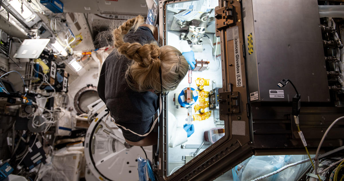 Heart tissue heads to space for research on aging and impact of long ...