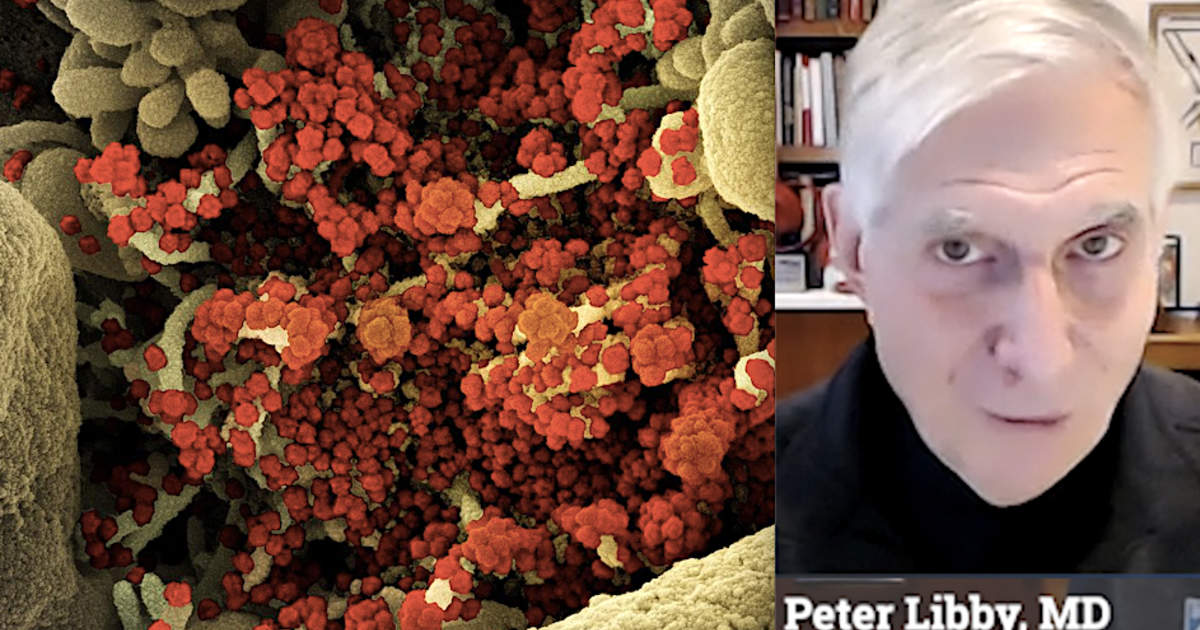 Do infections cause heart attacks? Lessons from COVID