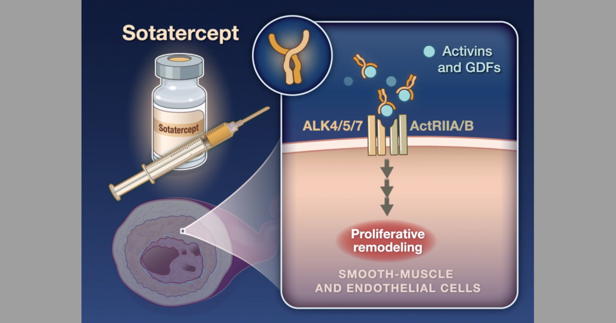 FDA grants speedy review to Merck's new drug for pulmonary arterial ...