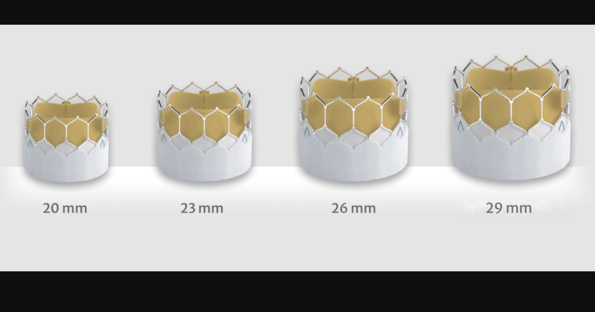A victory for early treatment: FDA approves first TAVR valves for ...
