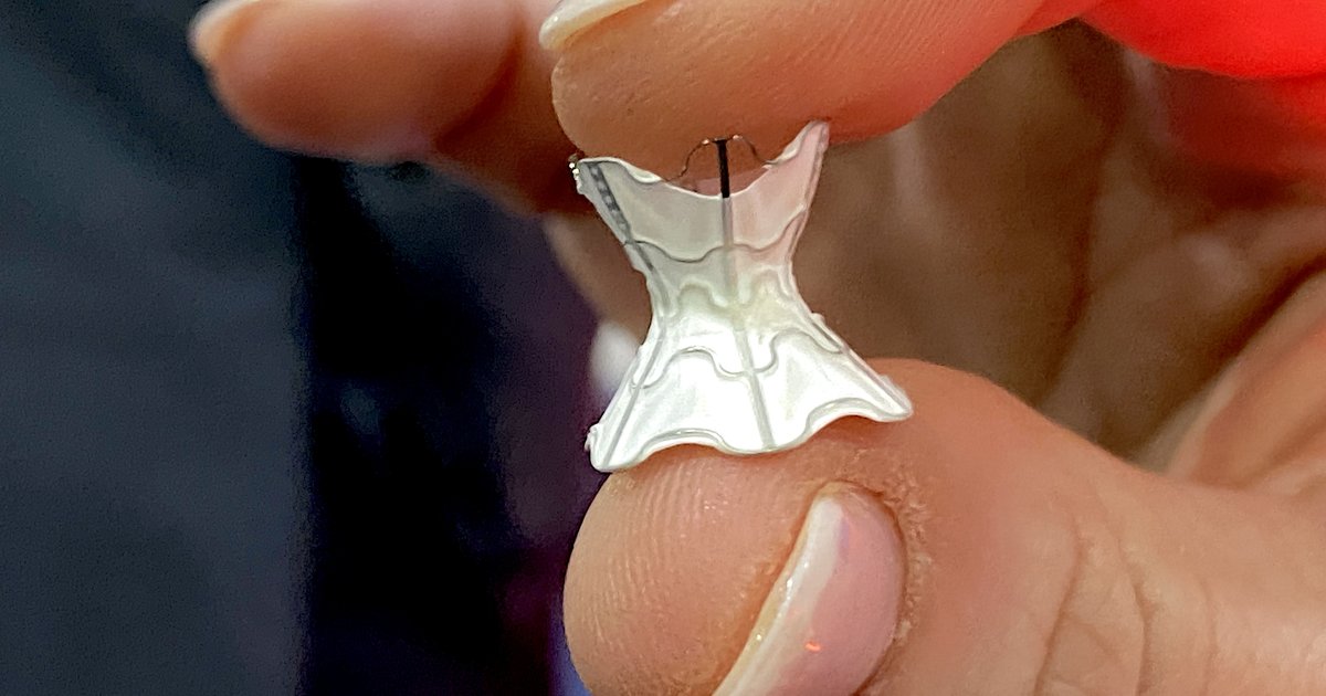 FDA panel to review first heart failure device of its kind