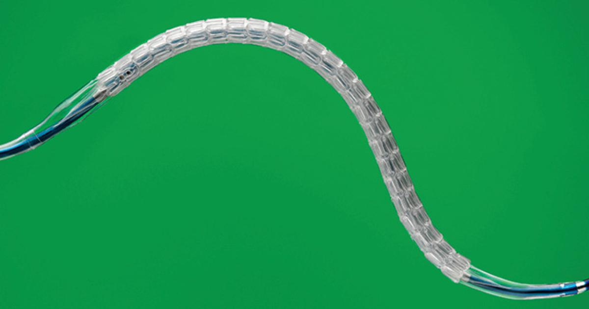 Bioresorbable scaffolds, drug-eluting stents equal at 9-month follow-up
