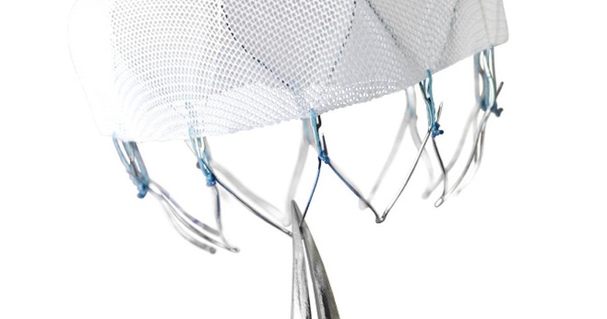 FDA panel to revisit Watchman based on updated data