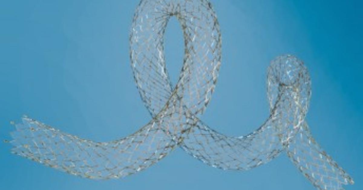 New self-expanding heart stent from Biotronik proves effective in ...