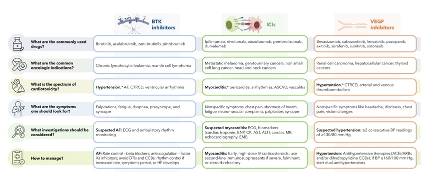 American College of Cardiology highlights the cardiovascular risks of ...
